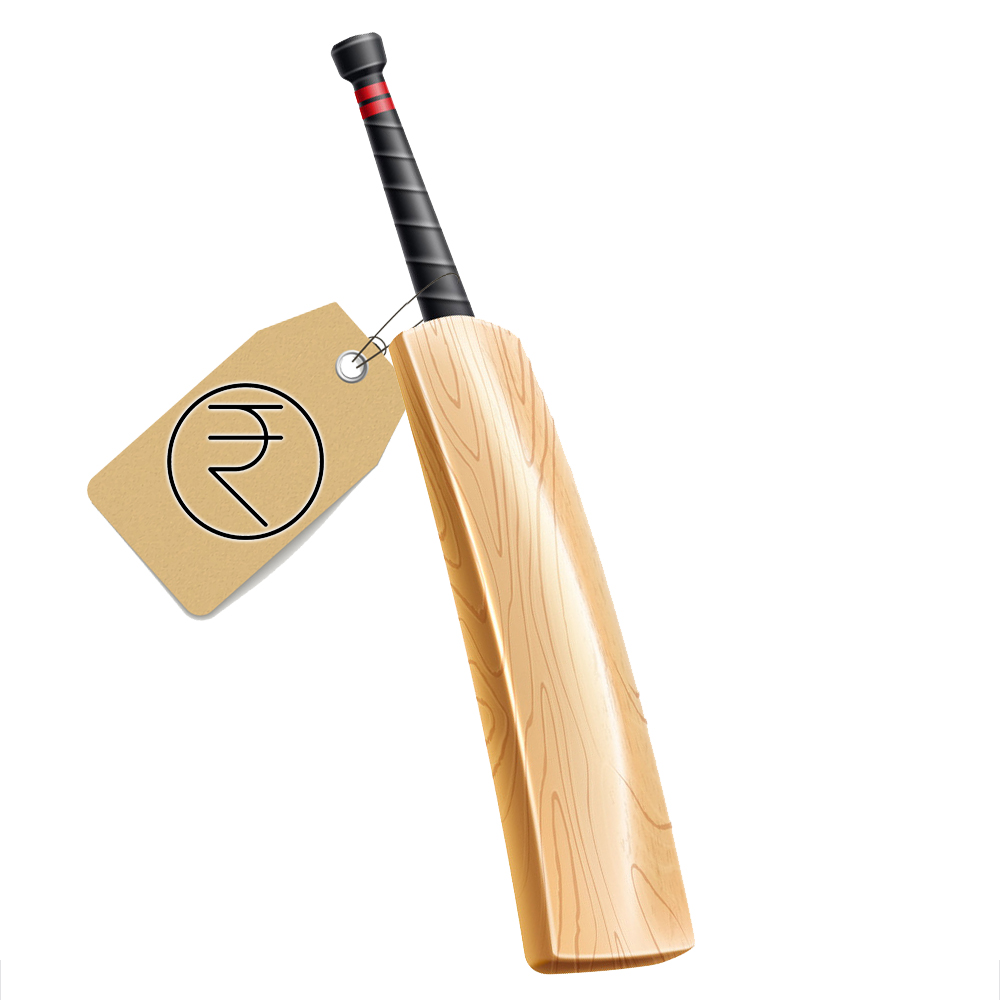 How to Choose Cricket Bat | Cricket bat length | Weight of cricket bat